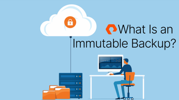 Immutable Backups: What Are They and Why Are They Important? – Awantech ...